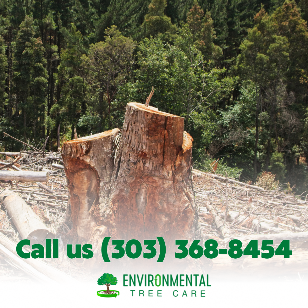 Estimate - Denver Tree Service - Tree Removal - Snow Removal